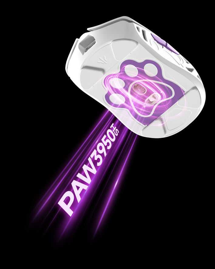 WLMOUSE Beast Miao Magnesium Gaming Mouse – WLmouse