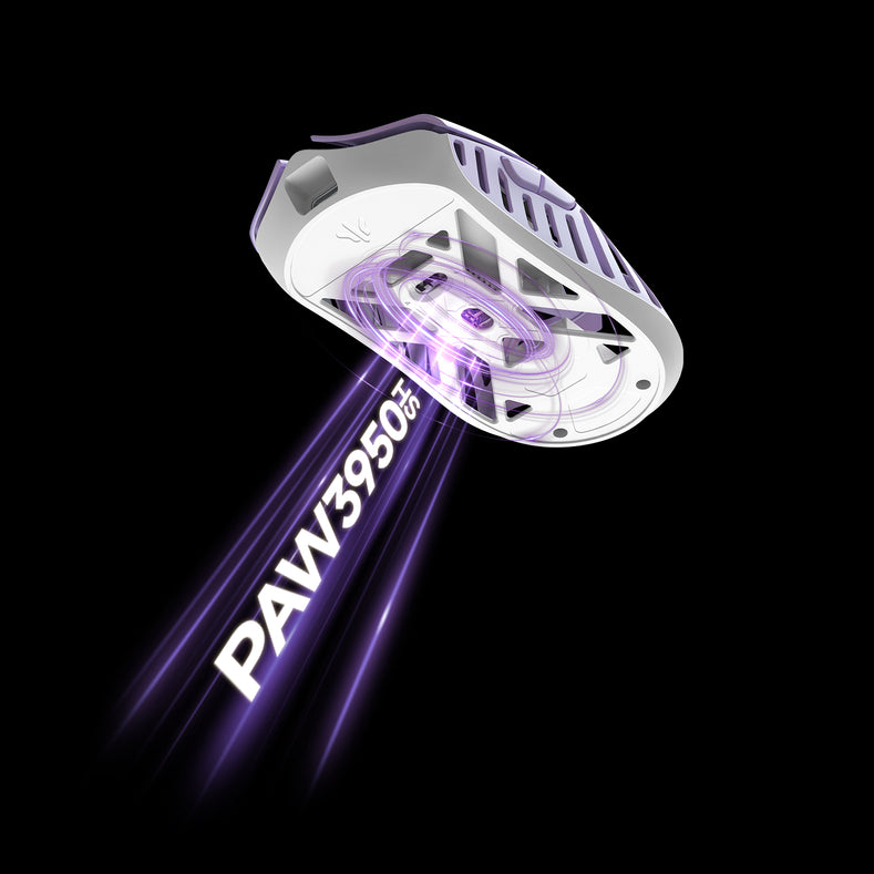 WLMouse Beast X Mini Pro - Ultra-Light Gaming Mouse – WLmouse